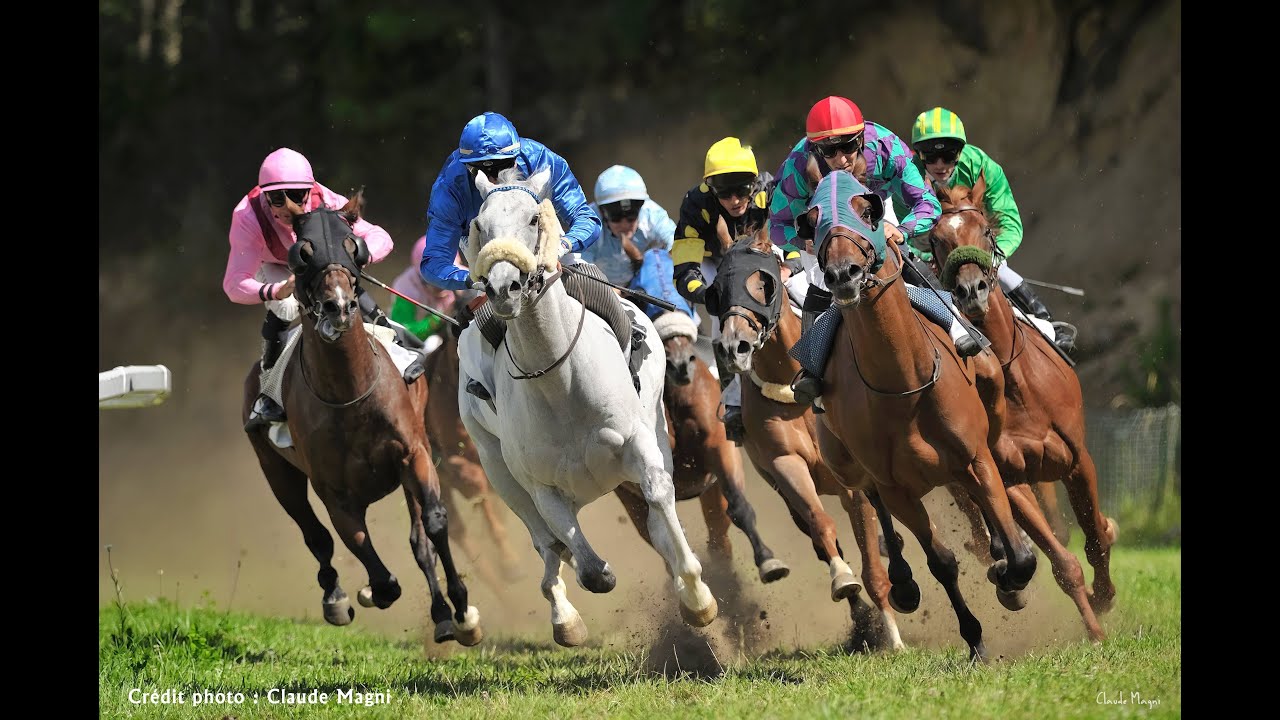 Horse Racing Track Race - YouTube