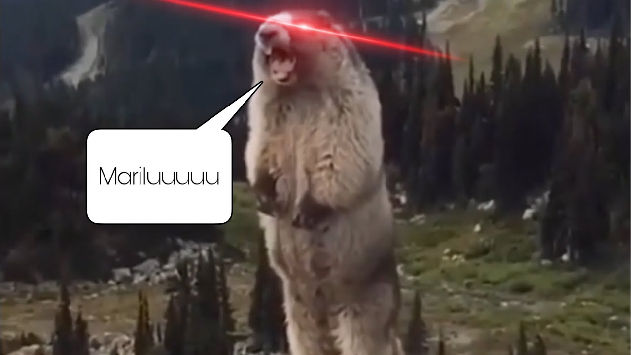 Castoro urla MARILUUUUÙ - YouTube