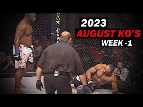 MMA & Boxing Knockouts I August 2023 Week 1 - YouTube