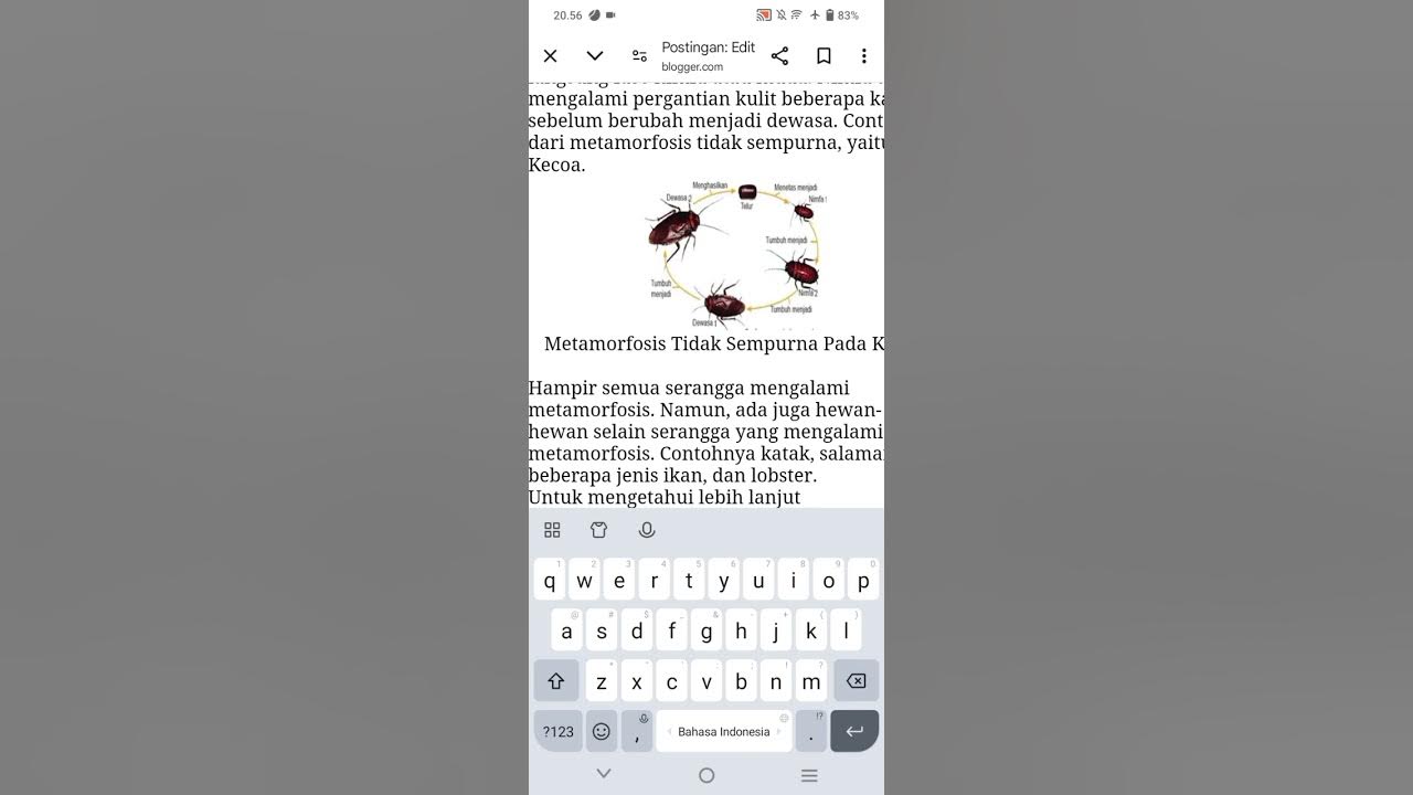 Tutorial Membuat Blogger Menggunakan HandPhone - YouTube