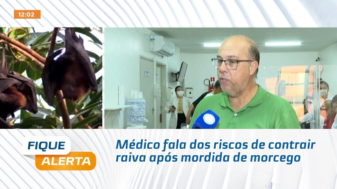 Médico fala dos riscos de contrair raiva após mordida de morcego - YouTube