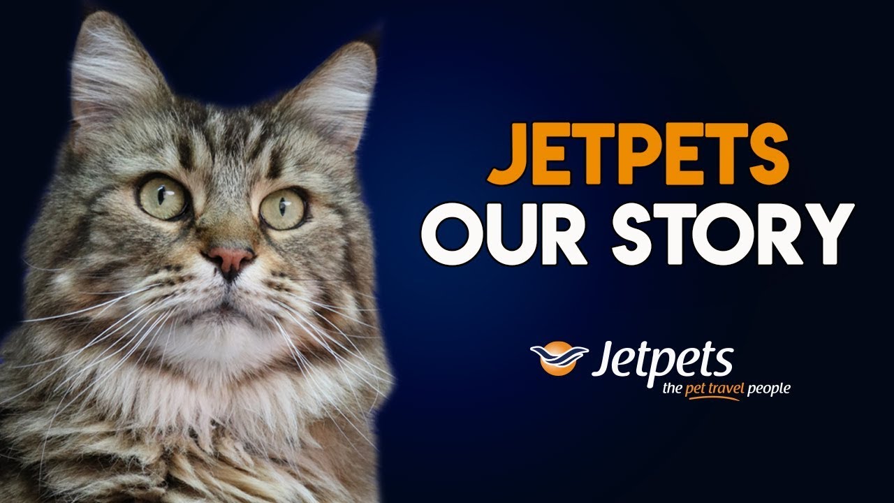 The Jetpets Story | Jetpets AU - YouTube