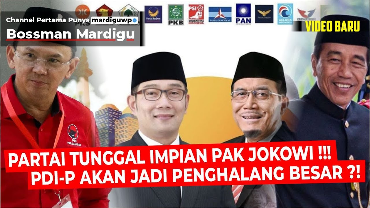 SINGLE PARTY COUNTRY, CITA-CITA JOKOWI ?! KIM PLUS JADI PARTAI TUNGGAL ...