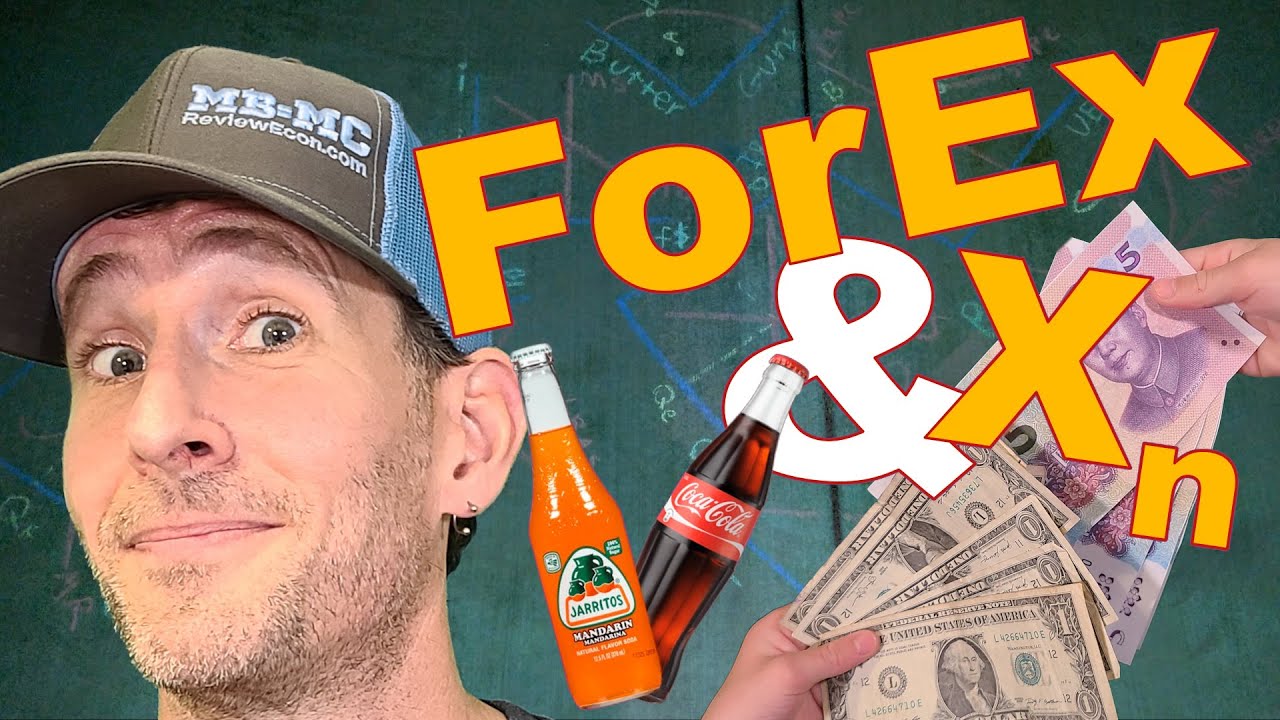 Macro 6.5 - Changes in the Foreign Exchange Market and Net Exports ...