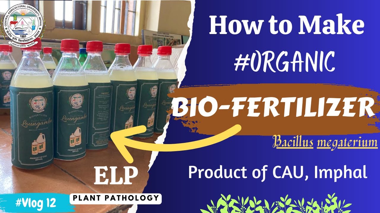 How to make Bio-Fertilizer | ELP-PP Dept. | Central Agricultural ...