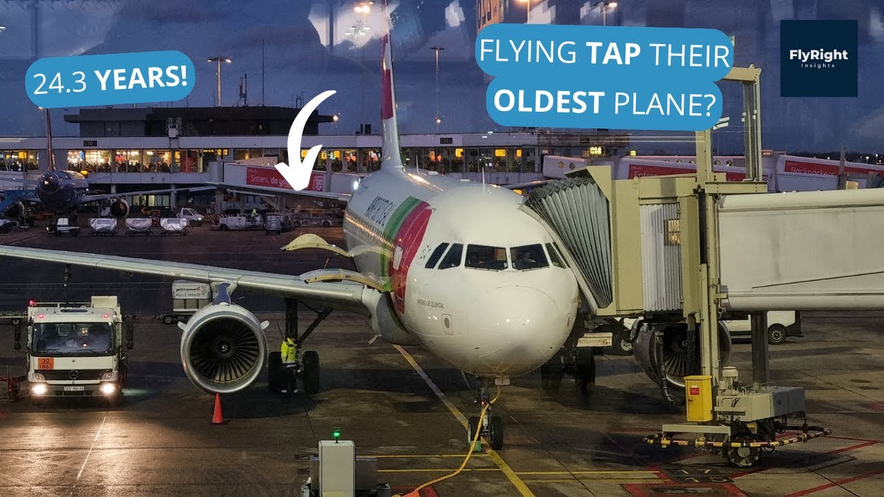 TAP ECONOMY vs REALITY Check (Is It Worth the Upgrade?) - YouTube