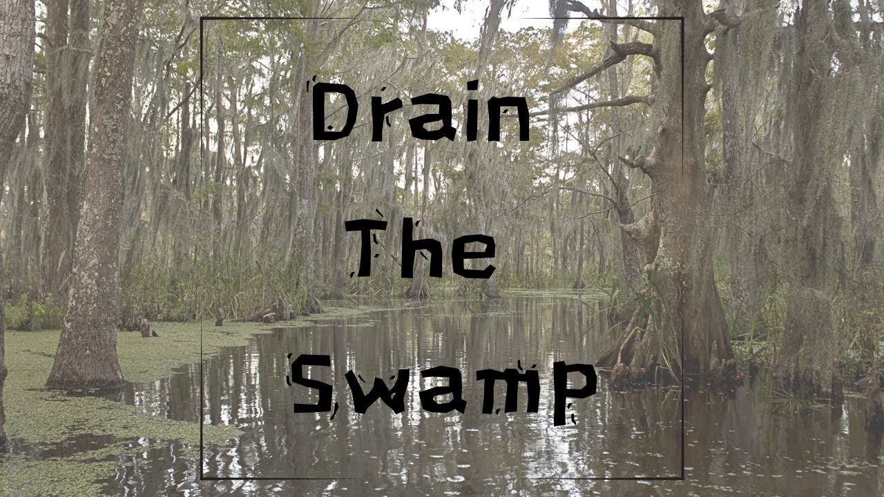 Drain the Swamp - YouTube