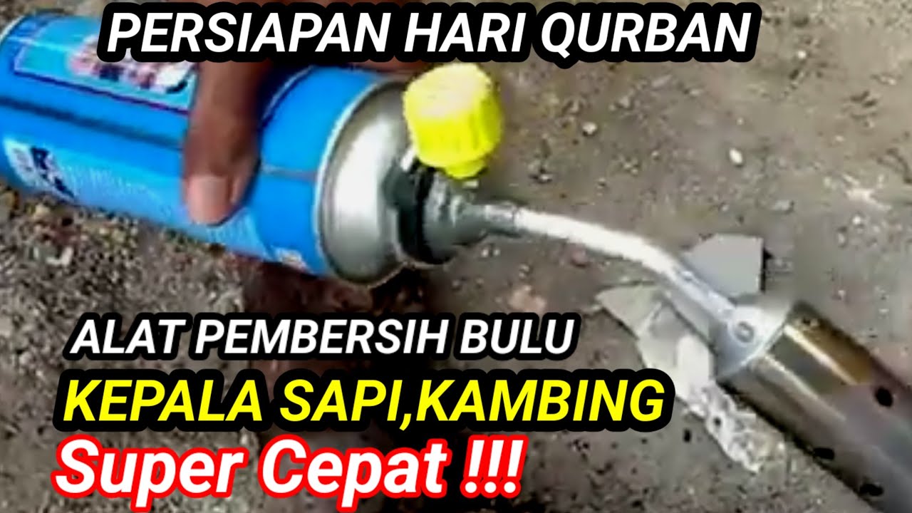 CARA MEMBERSIHKAN KEPALA SAPI , KAMBING QURBAN SUPER CEPAT !! - YouTube