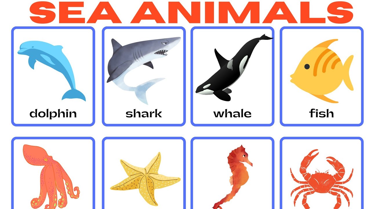 Sea animals for kids / 10 Sea Animals / Easy to learn - YouTube