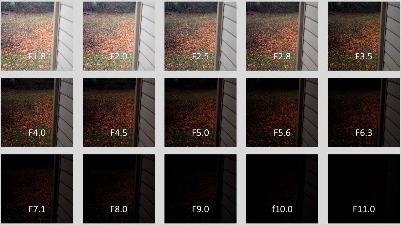 Camera Lens Low Light Performance Test: f/11 - f/1.8 (APS-C Edition ...