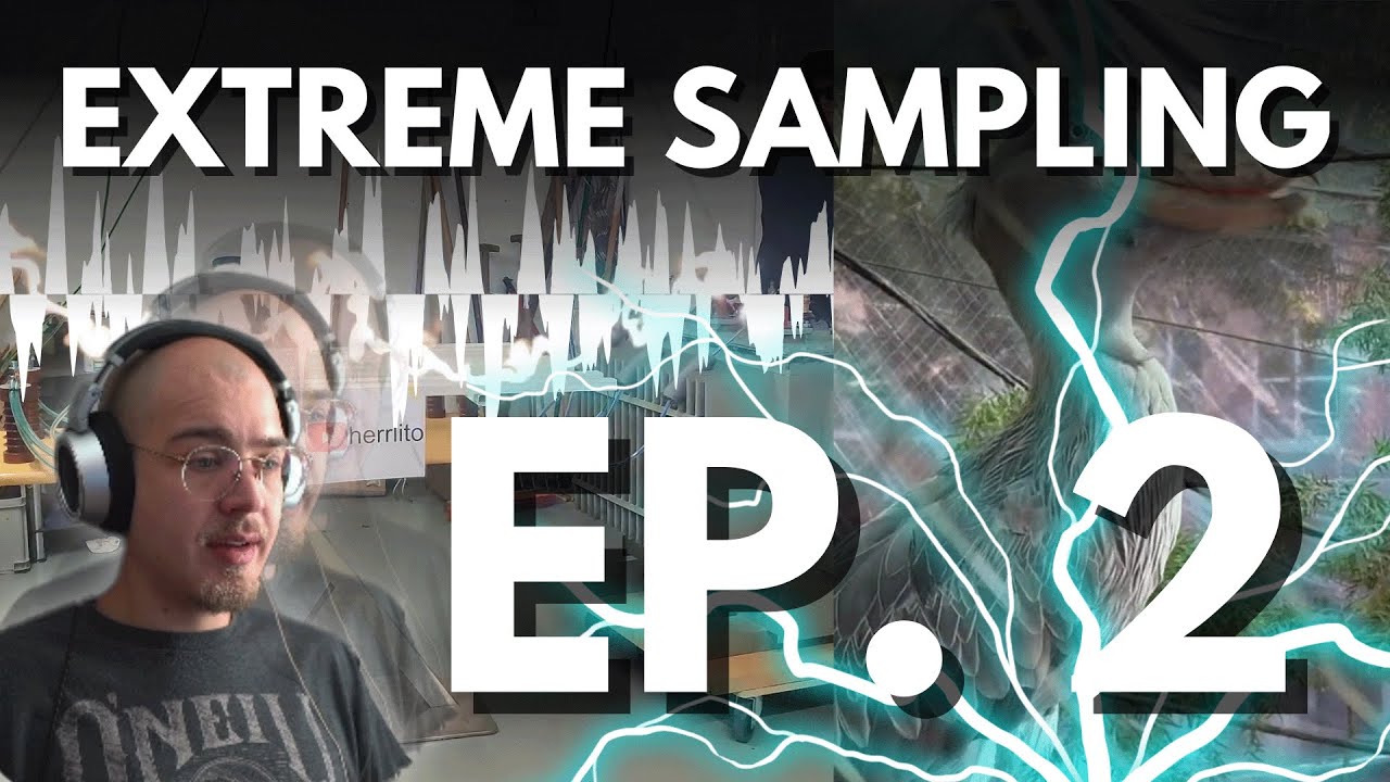 Extreme Sampling Ep. 02: Color Transfer with Storks and Sparks - YouTube