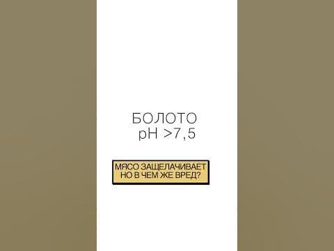 Мясо защелачивает - YouTube