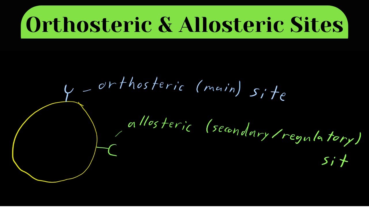 *VIDEO IN ERROR - CHECK DESCRIPTION* - Orthosteric & Allosteric Sites ...