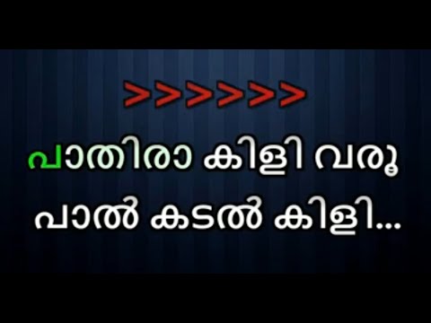 Pathirakili Varu Karaoke With Lyrics Remix Karaoke Kizhakkan pathrose ...