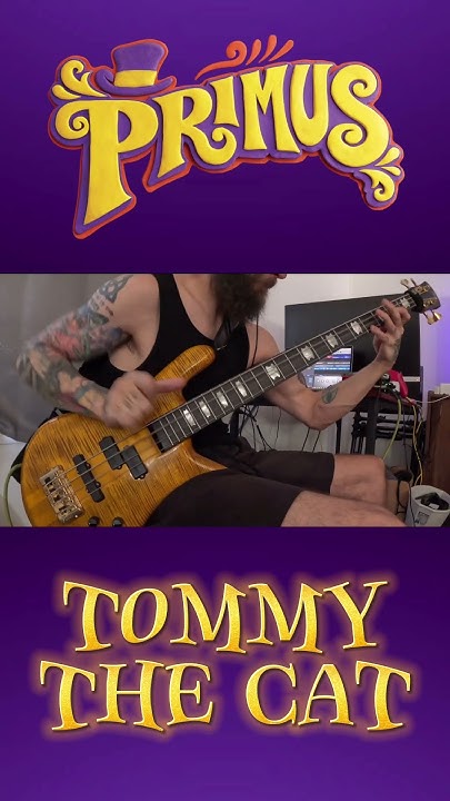 Tommy The Cat - Primus Bass Cover #bassplayer #bassist #bassguitar #bassplayeruniverse # ...
