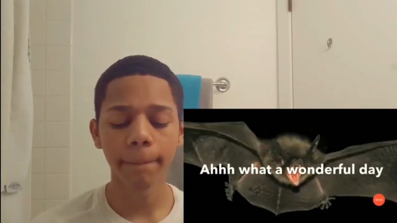 Reaction Video to Michaels dumb ideas! - YouTube