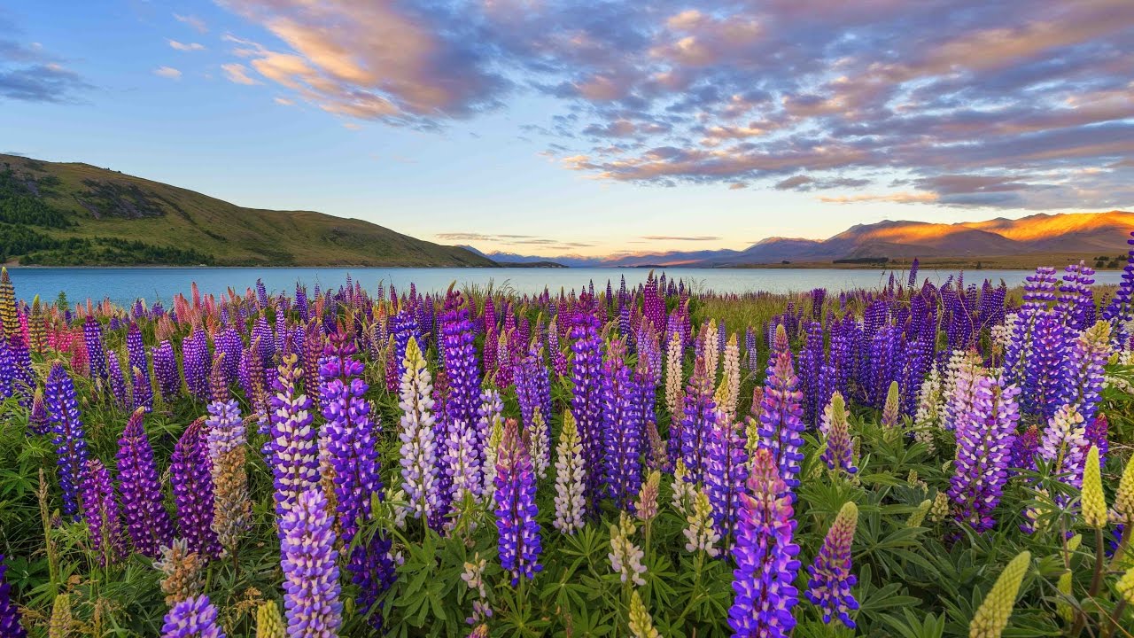 Peaceful Music, Relaxing Music, Instrumental Music, "Beautiful World ...