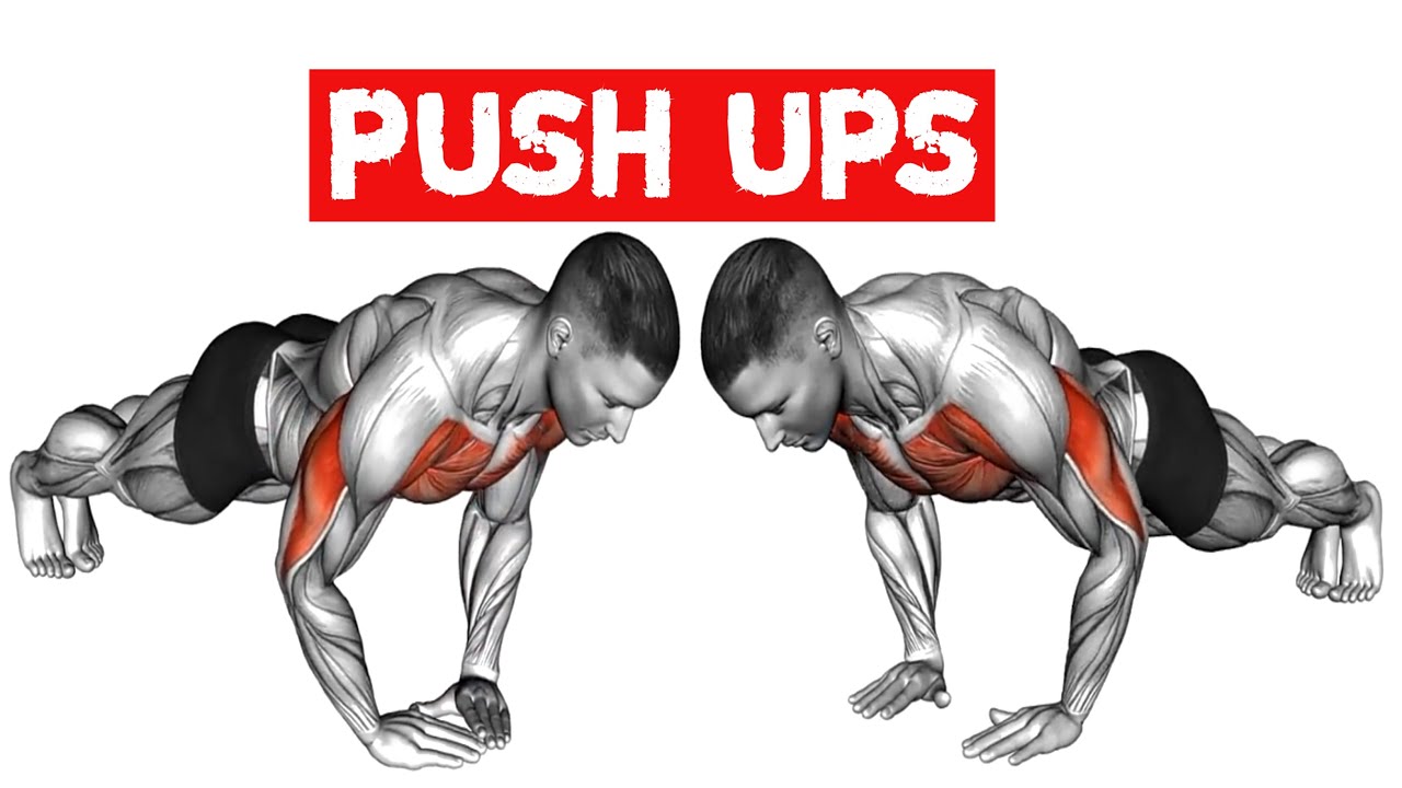 Diamond Push Ups | Triceps Workout At Home | Push Ups - YouTube