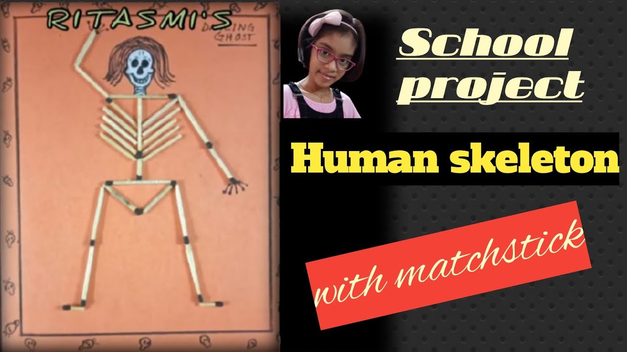 How to make a skeleton # Match sticks # SCHOOL PROJECT ( Science) - YouTube