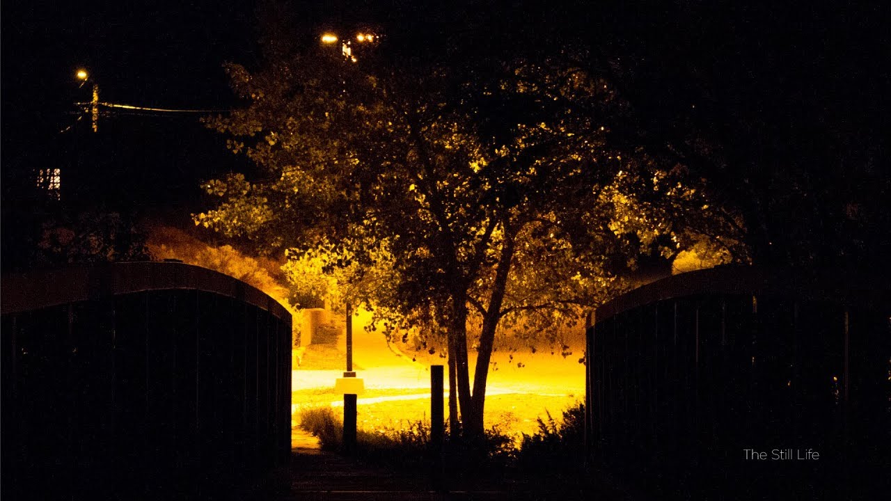 The Still Life - Dave Wirth - YouTube Music