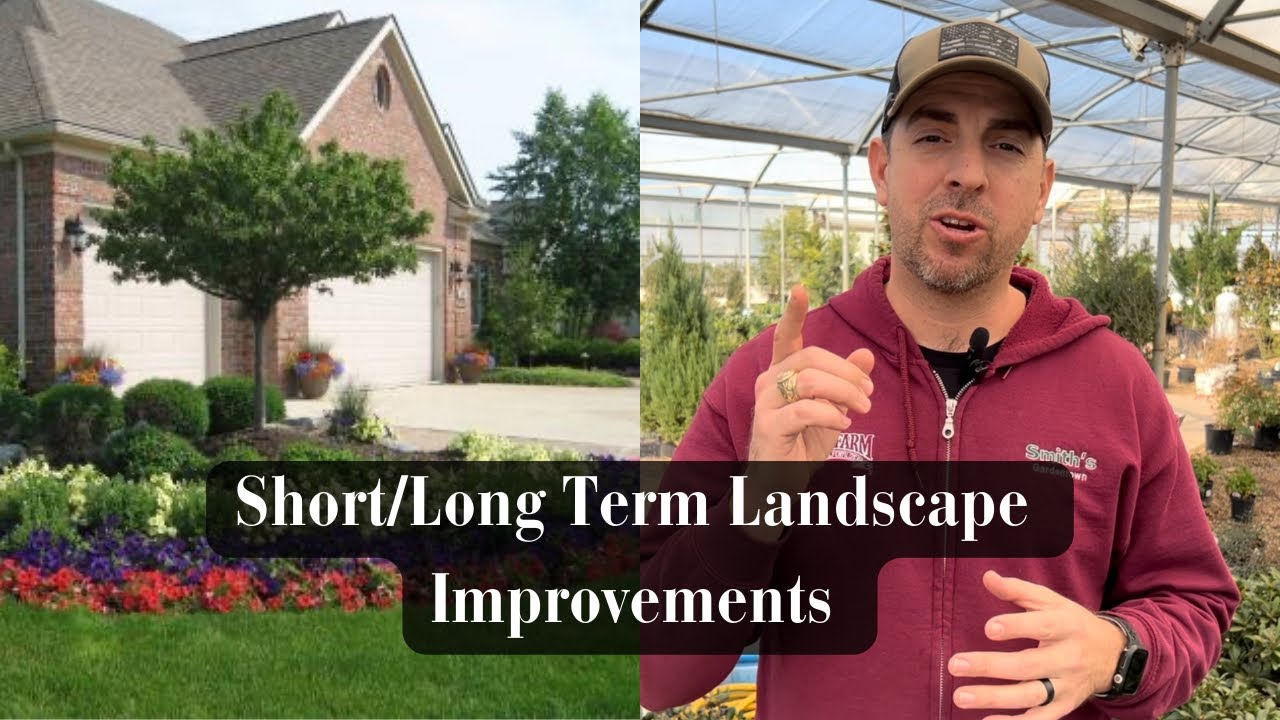 Short/Long Term Landscape Improvements - YouTube