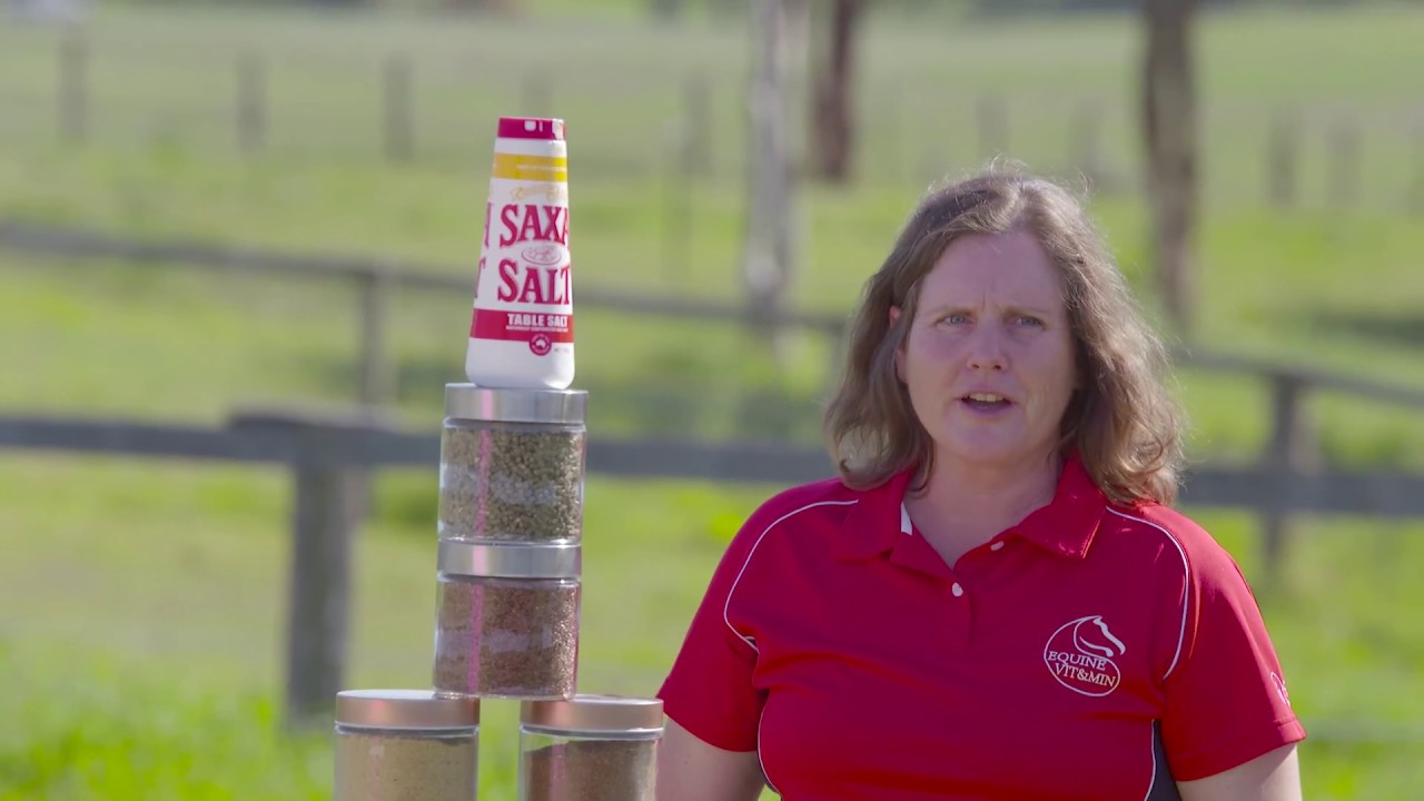 EQUINE FOOD PYRAMID by Equine Vit&Min - YouTube