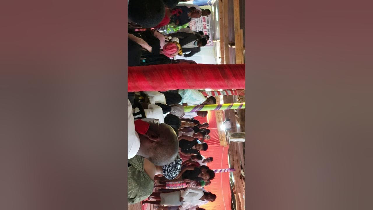 AFM TREE OF LIFE - YouTube