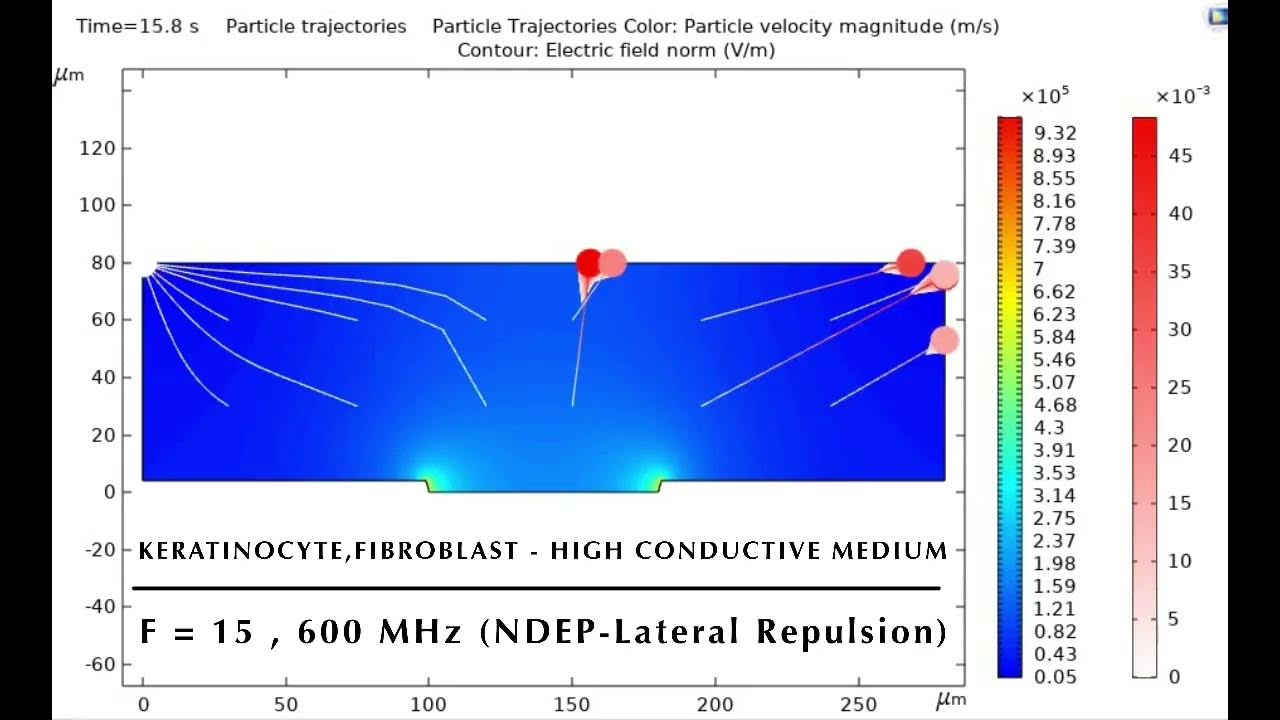 COMSOL simulation : Dielectrophoresis particle trajectory - YouTube