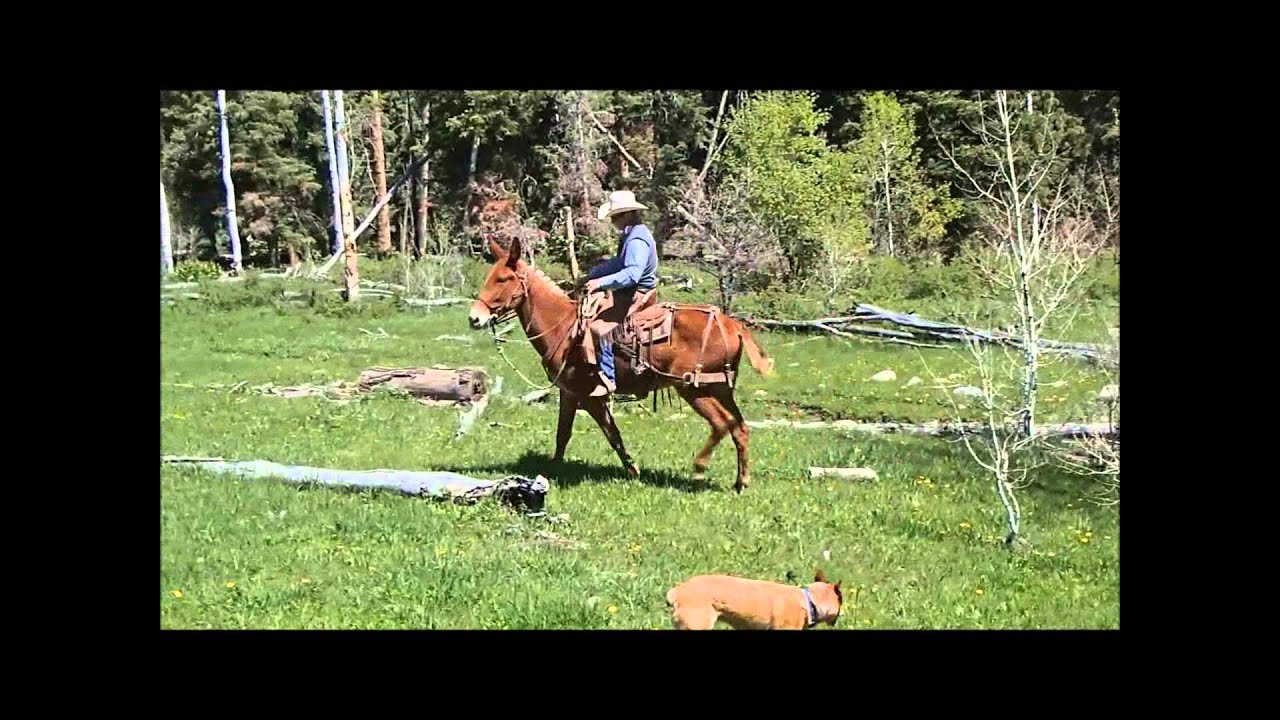 Spit Training - YouTube