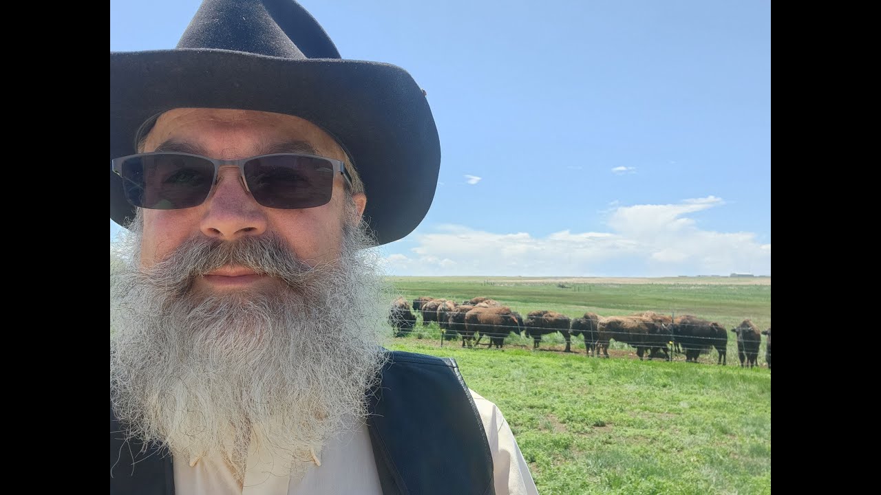 Rex the Bison Man - YouTube