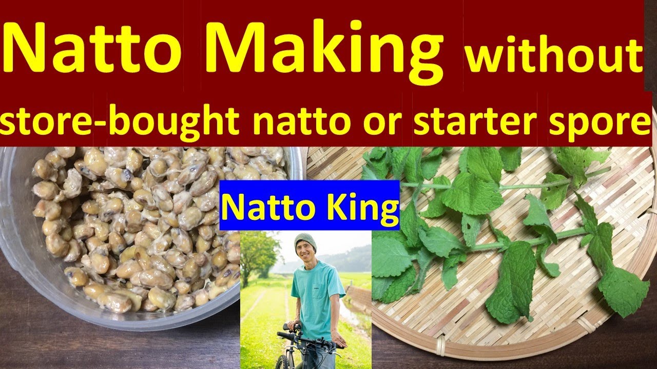 How to Make Natto from a Wild Plant by Natto King - YouTube