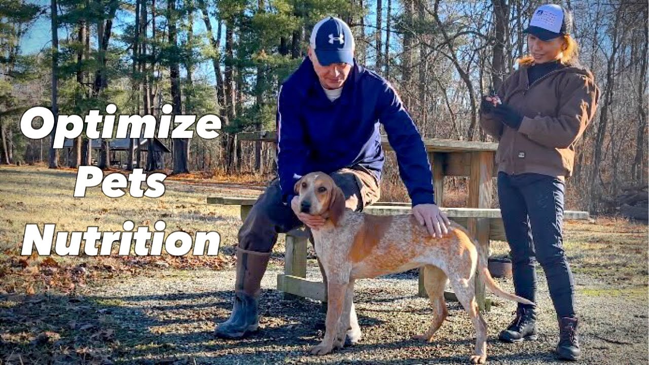 Health & Vitality PETS 10in1 MULTIVITAMIN - Canis Cattus - YouTube