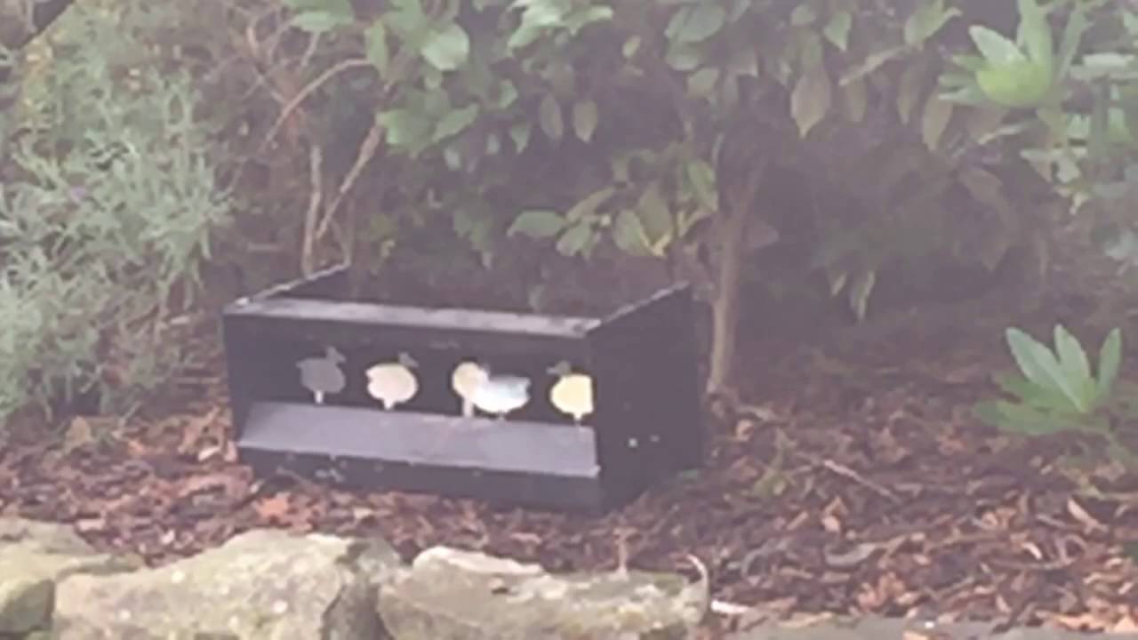 BSA. Hornet Air rifles - YouTube