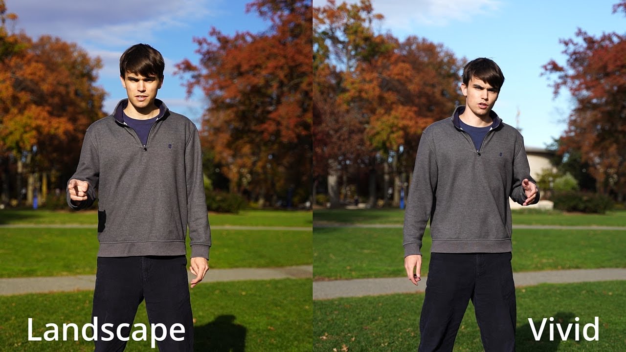 Sony Creative Styles Compared (Pre A7SIII) - YouTube