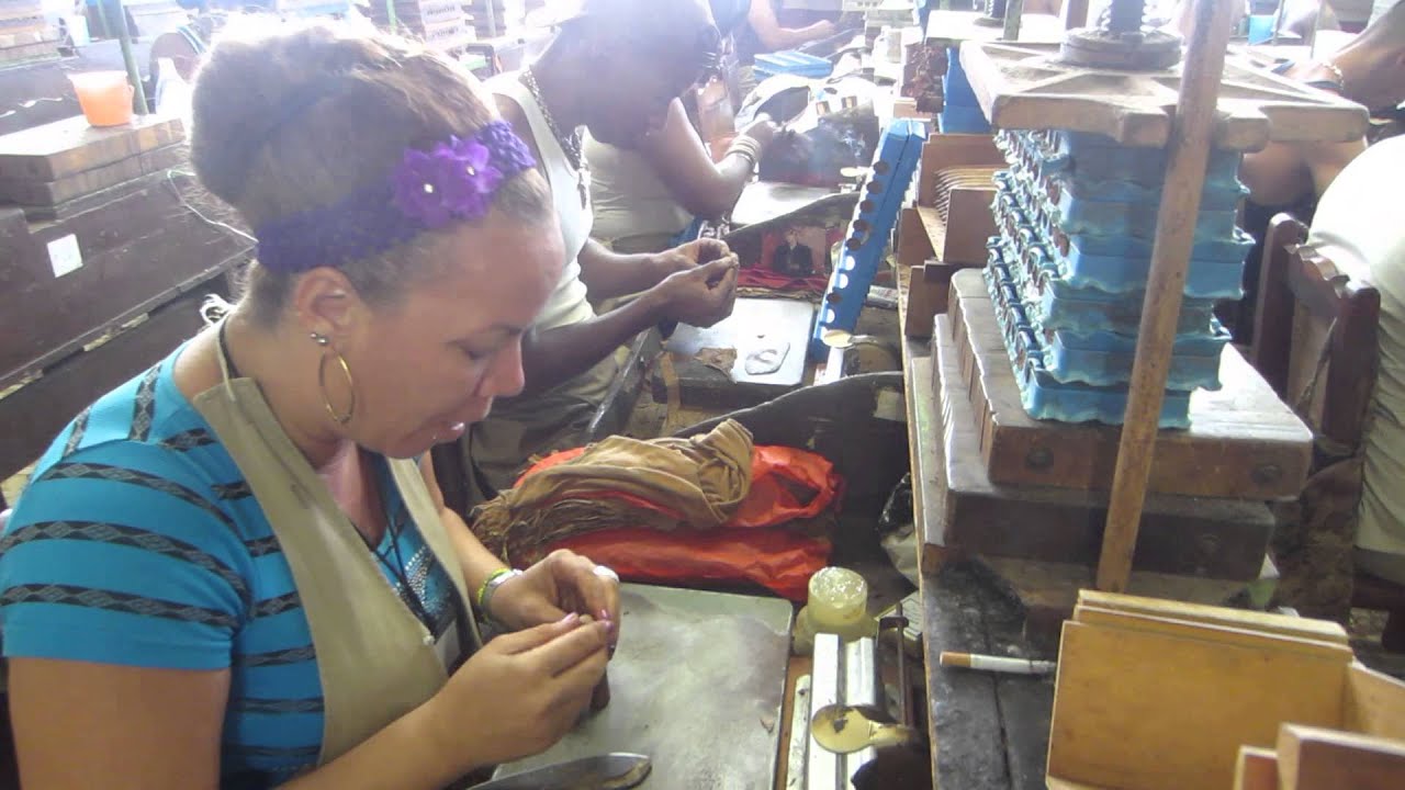 H.Upmann Cigar Factory (Havana, Cuba) - YouTube