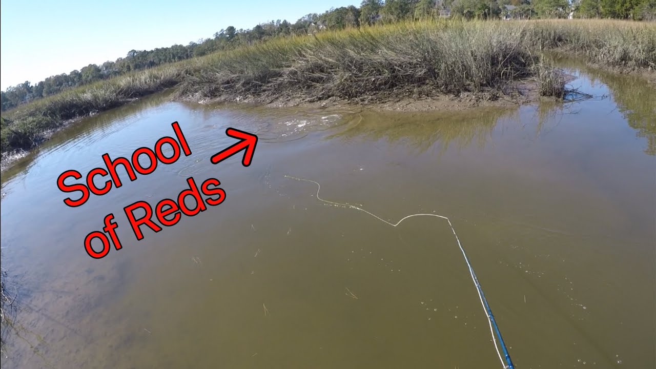 Sight Fishing for Redfish - YouTube