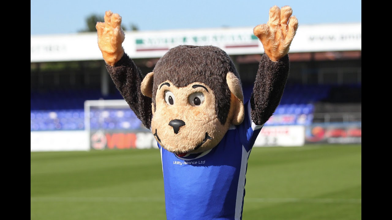 Happy Birthday To H'Angus The Monkey - YouTube