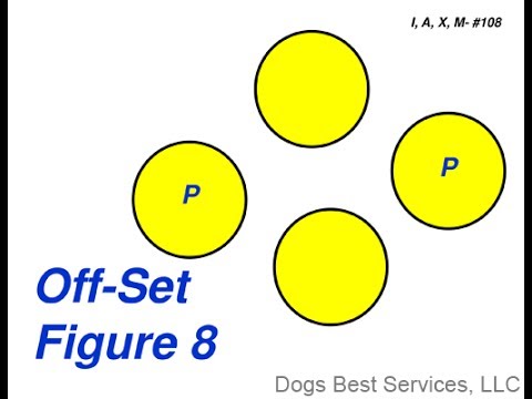 AKC Rally Advanced Sign #108 : Offset Figure 8 - YouTube