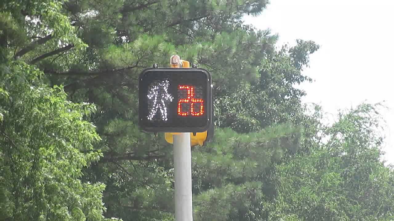 ICC Pedestrian Signal - YouTube