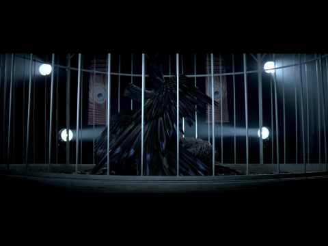 Miley Cyrus - Can't Be Tamed - Music Video (HD)