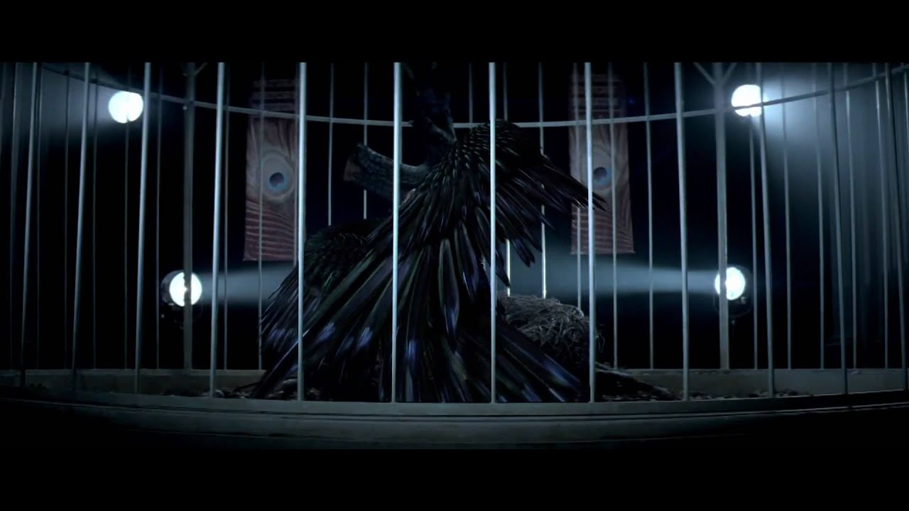 Miley Cyrus - Can't Be Tamed - Music Video (HD) - YouTube