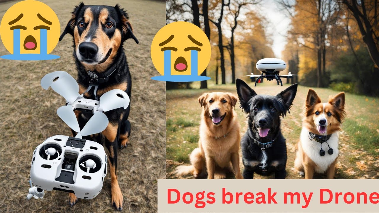 Vlog-44 Pranking My Dog with a Funny Drone Troll | Funny Prank Goes ...
