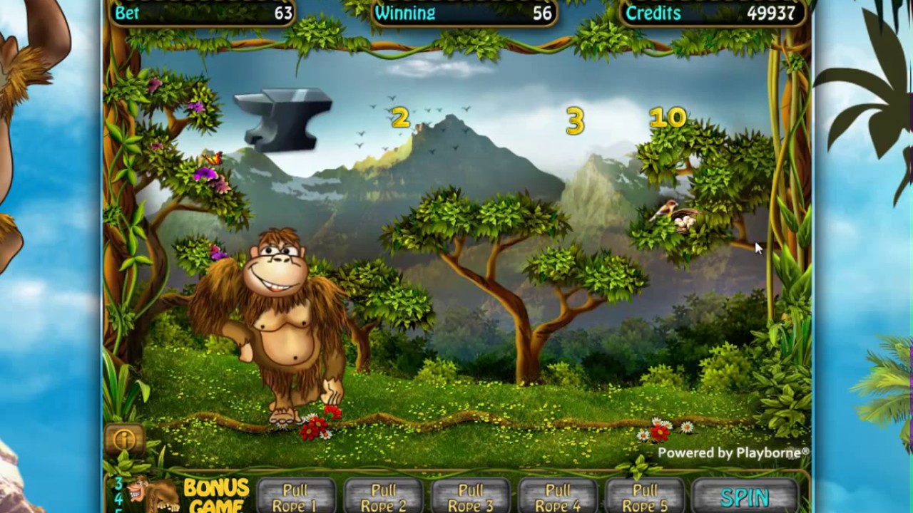 Lucky Monkey II Video Slot Game Play - YouTube