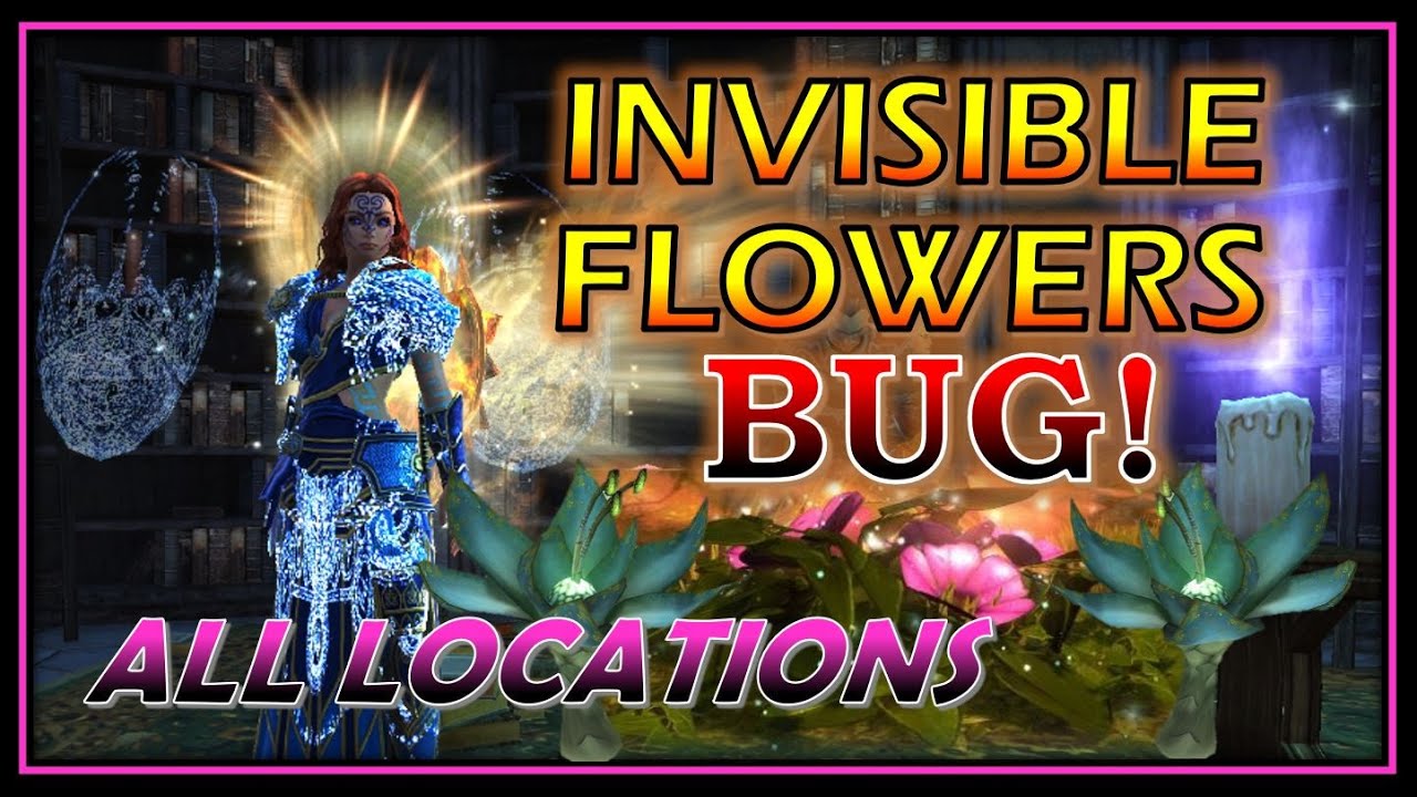 Oil of Etherealness Quest BUG, Find those Invisible Flowers Easily! Part 2 New Sharandar ...