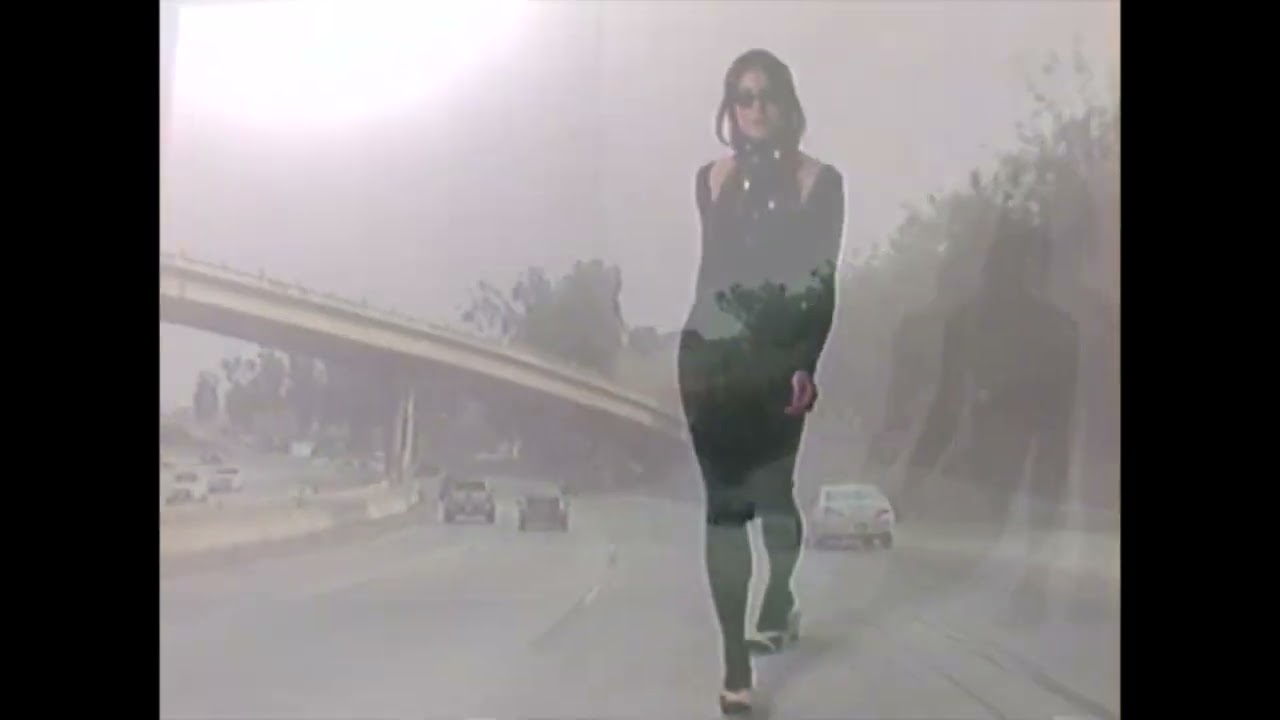 Lael Neale - Altogether Stranger | Alternative | Written in Music