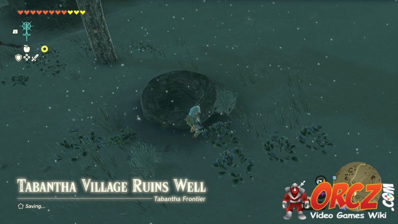 Legend of Zelda: Tears of the Kingdom - Tabantha Village Ruins Well ...
