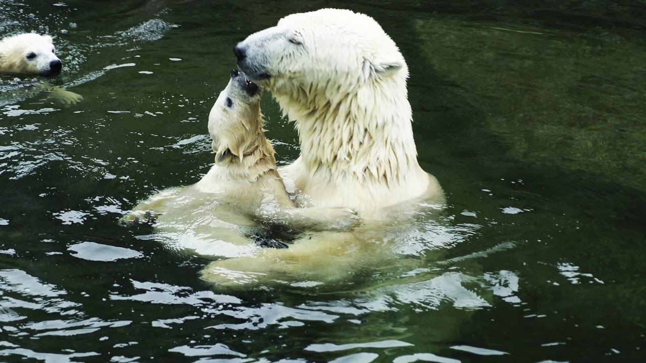 God's Word - Job 32 (Jeff Osburn) - YouTube