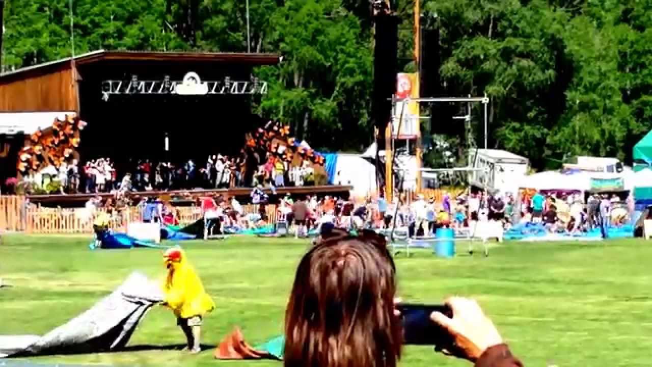 Telluride Bluegrass Festival Tarp Run (Thurs) - YouTube