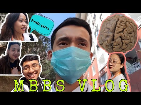 MBBS VLOG | Anatomy dissection hall | Friends, fun, studies, hostel