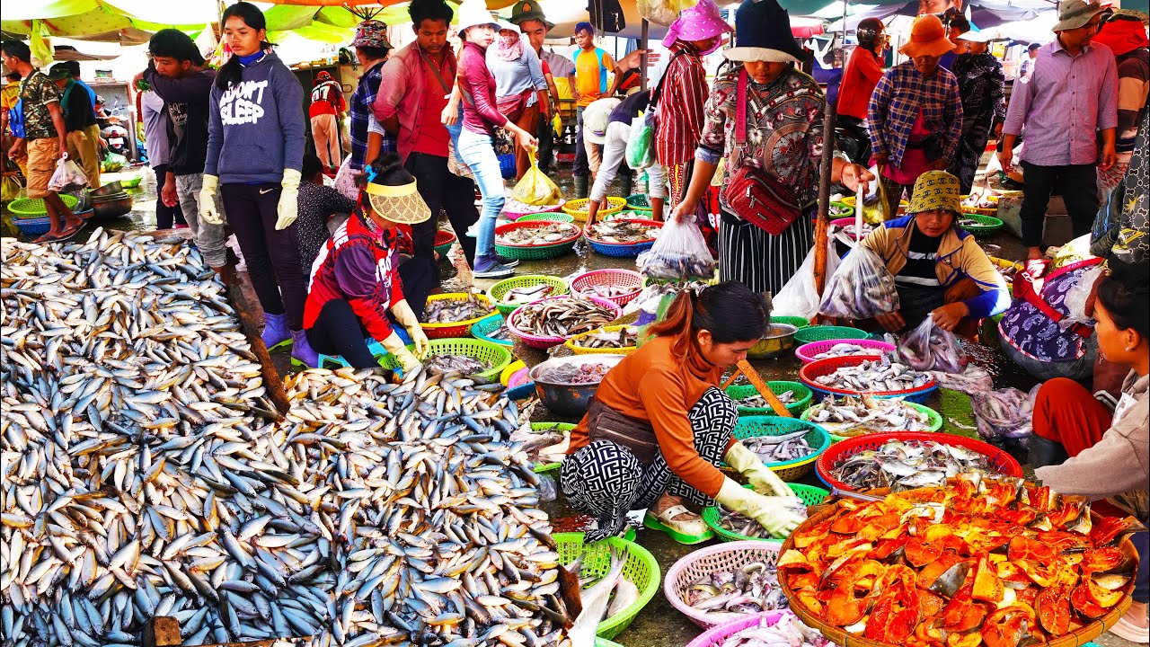 Kilometer Marker No 9 Reveals Kampong Chhnang Fish & Seafood – Fresh ...